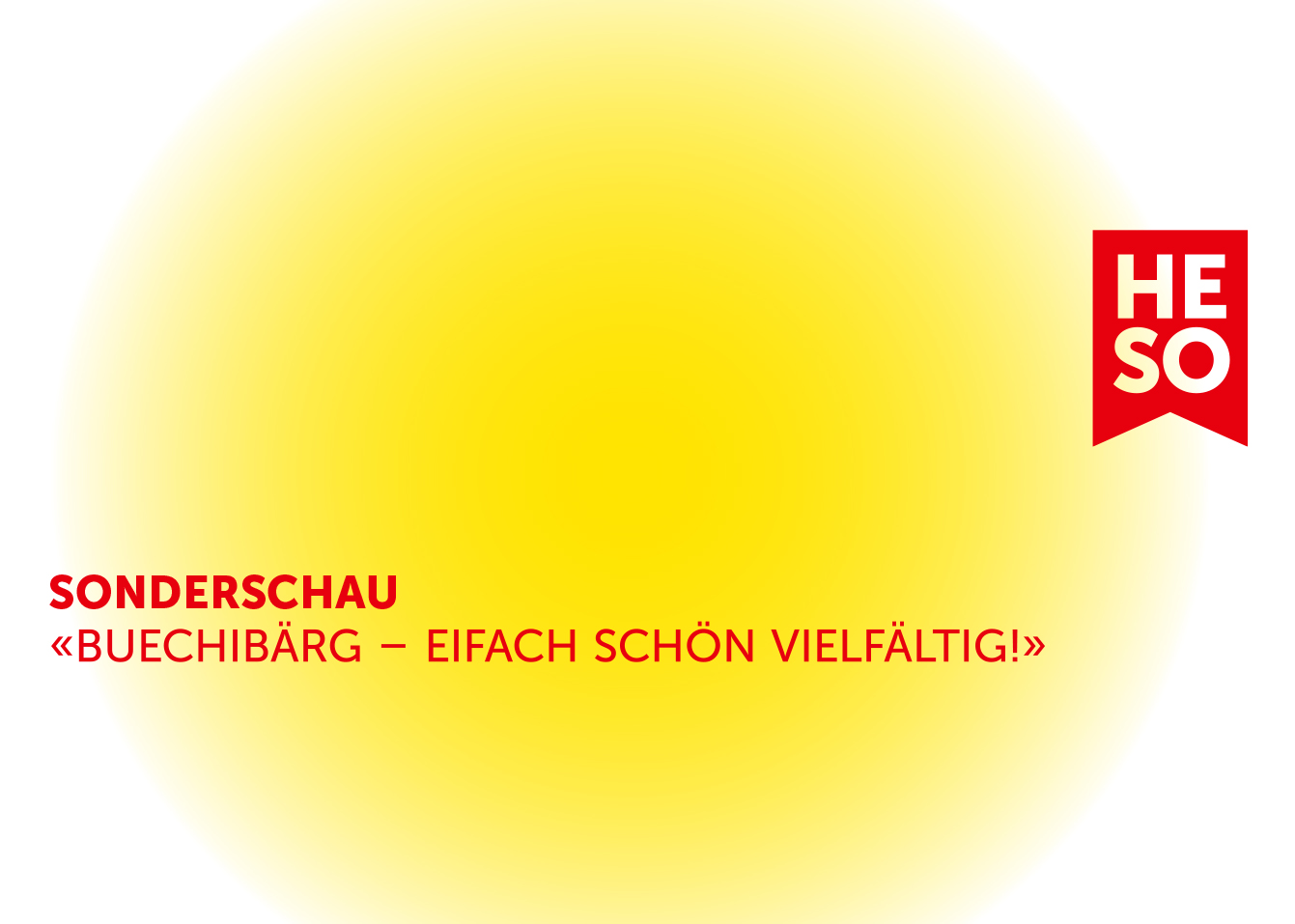 HESO Sonderschau | Anzeigerverband Bucheggberg - Wasseramt